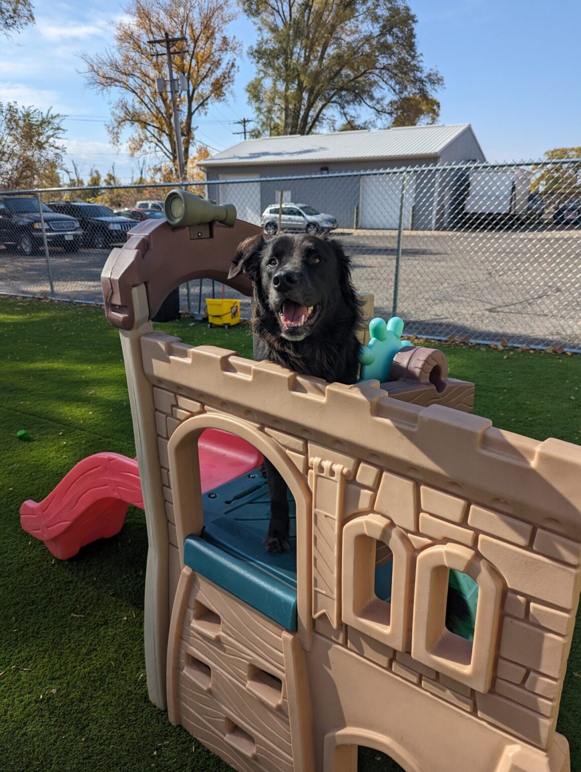 Raise the Woof Pet Resort